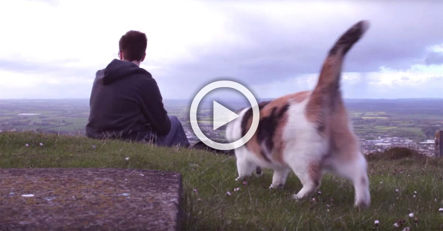 No ha visto un rostro humano en años. Pero atención a lo que hizo con ...